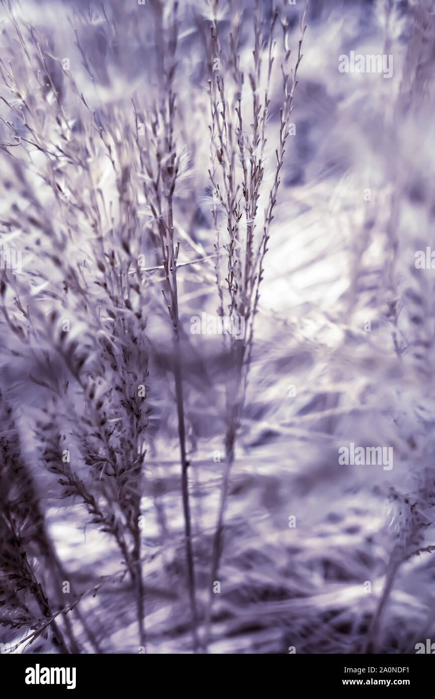 Rural landscape, pastel backdrop and environmental design concept ...