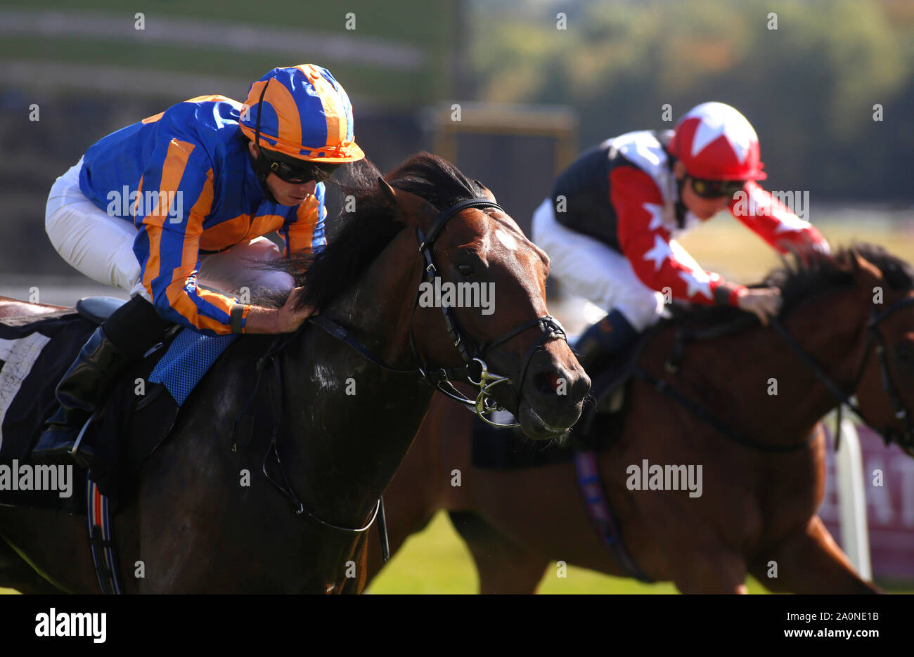 Novice trail hi-res stock photography and images - Alamy