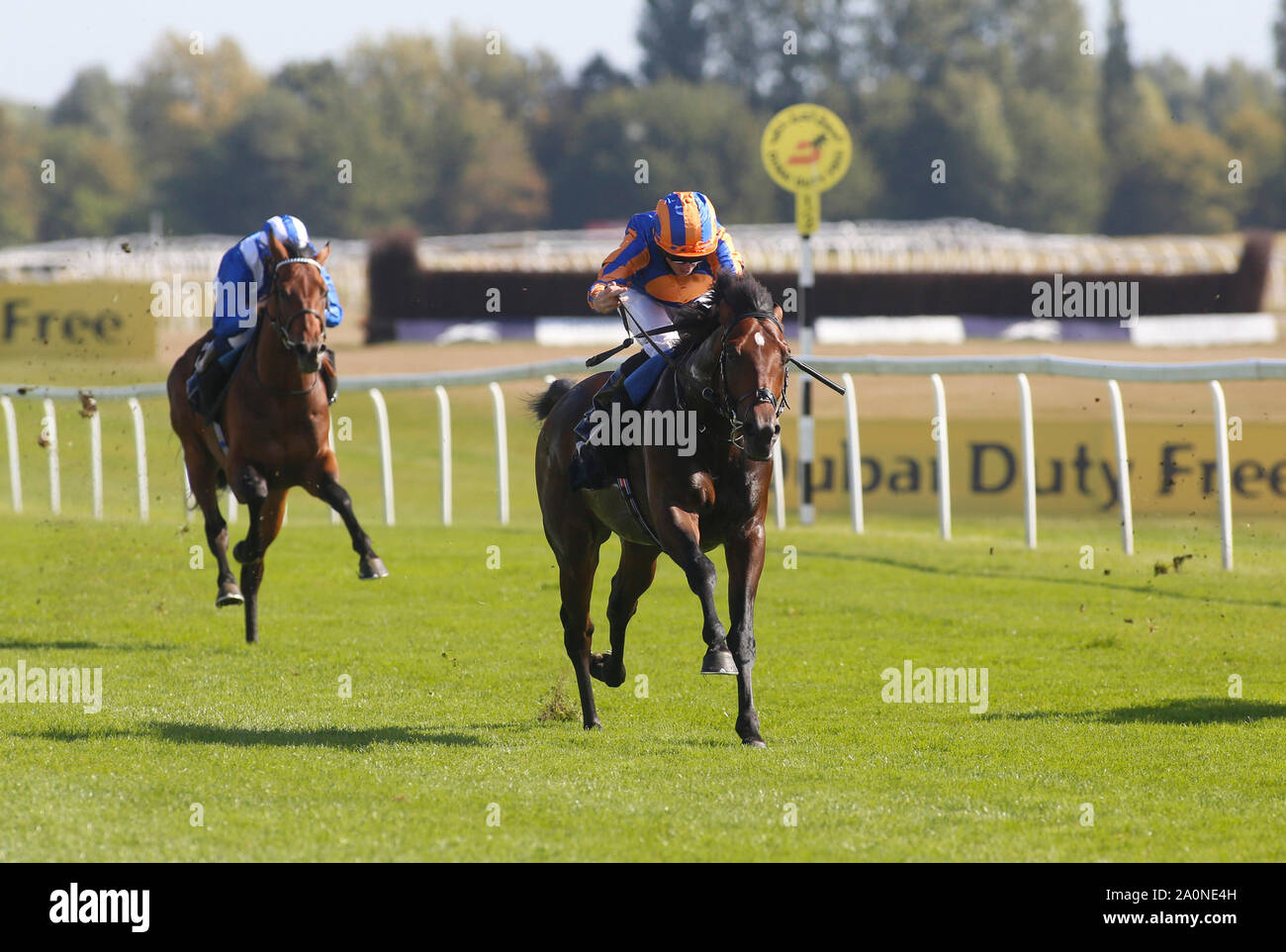 Novice trail hi-res stock photography and images - Alamy