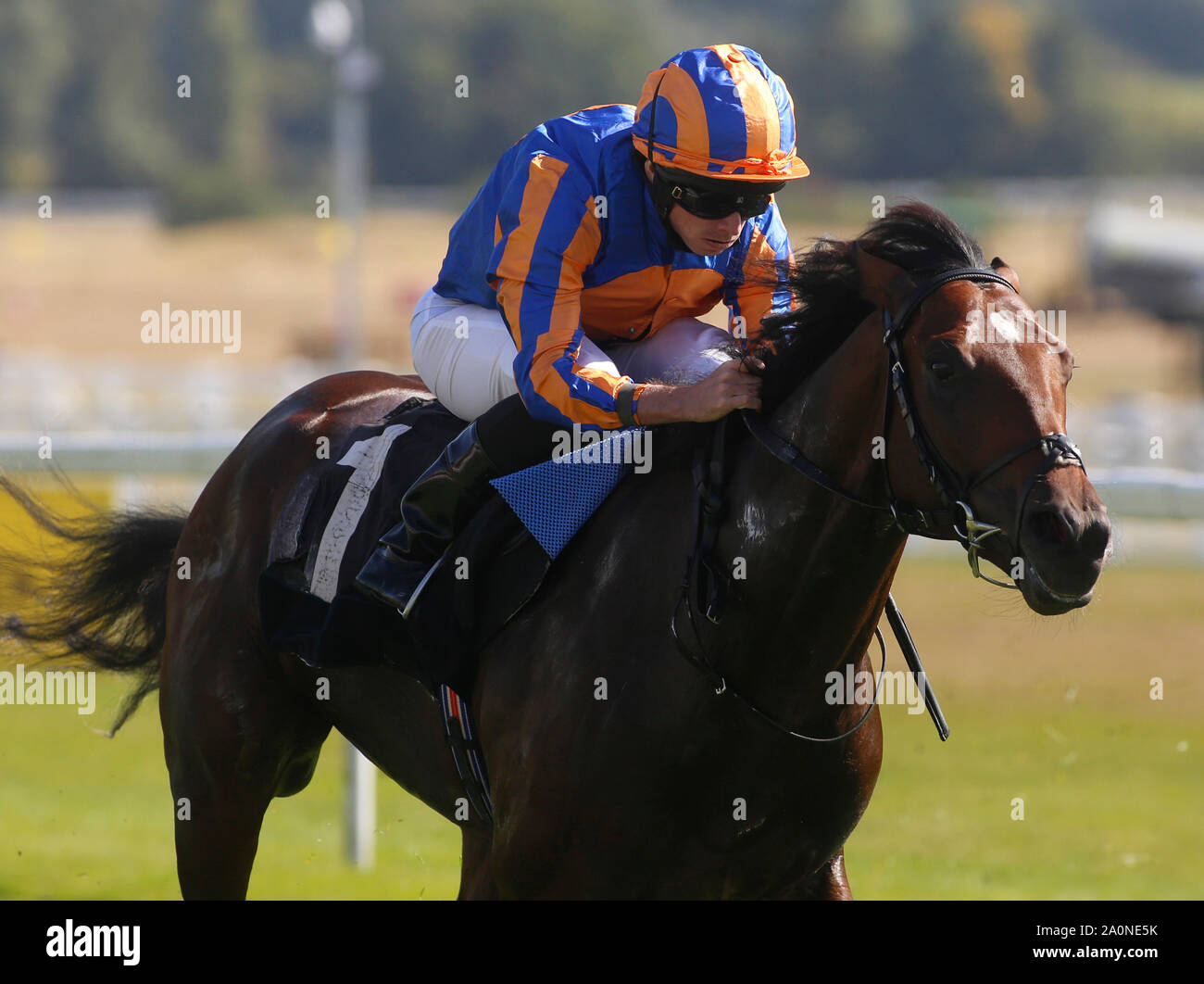 Novice trail hi-res stock photography and images - Alamy