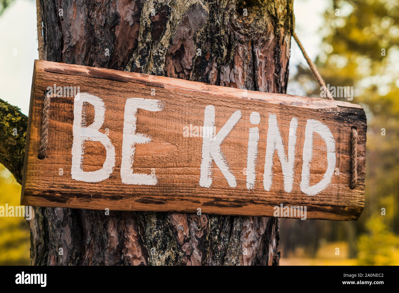 Wooden motivating sign on an old pine tree in the autumn park says "Be ...