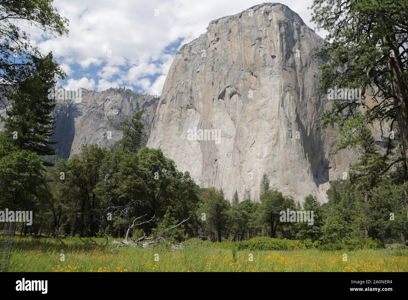 in USA inside yosemite national park the beauty of amazing nature ...