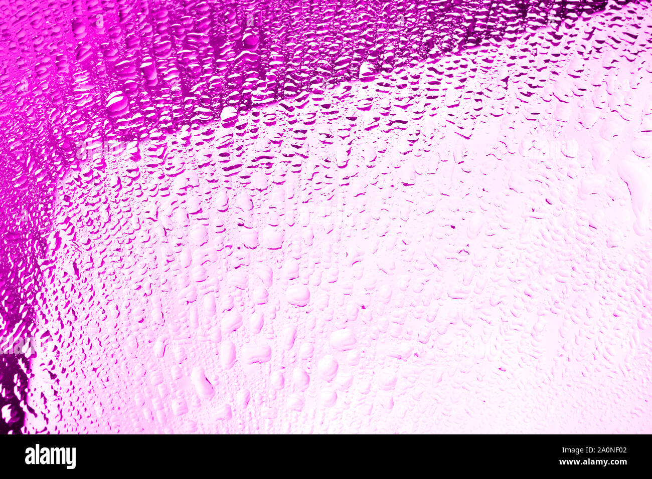 Glass surface in drops of water, bright pink color, shiny drops texture ...