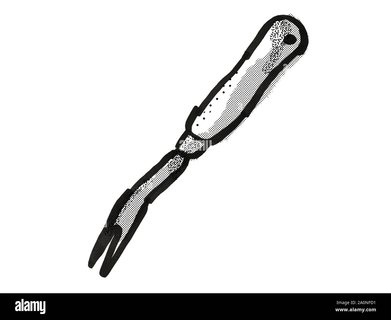 Retro cartoon style drawing of a hand weeder , a garden or gardening ...