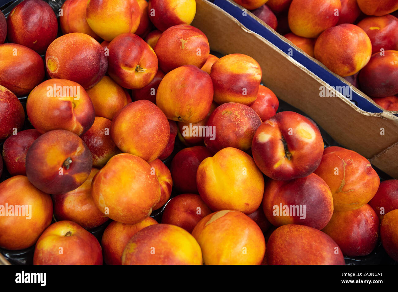 bright fresh nectarine on market tray or box. For food illustration ...