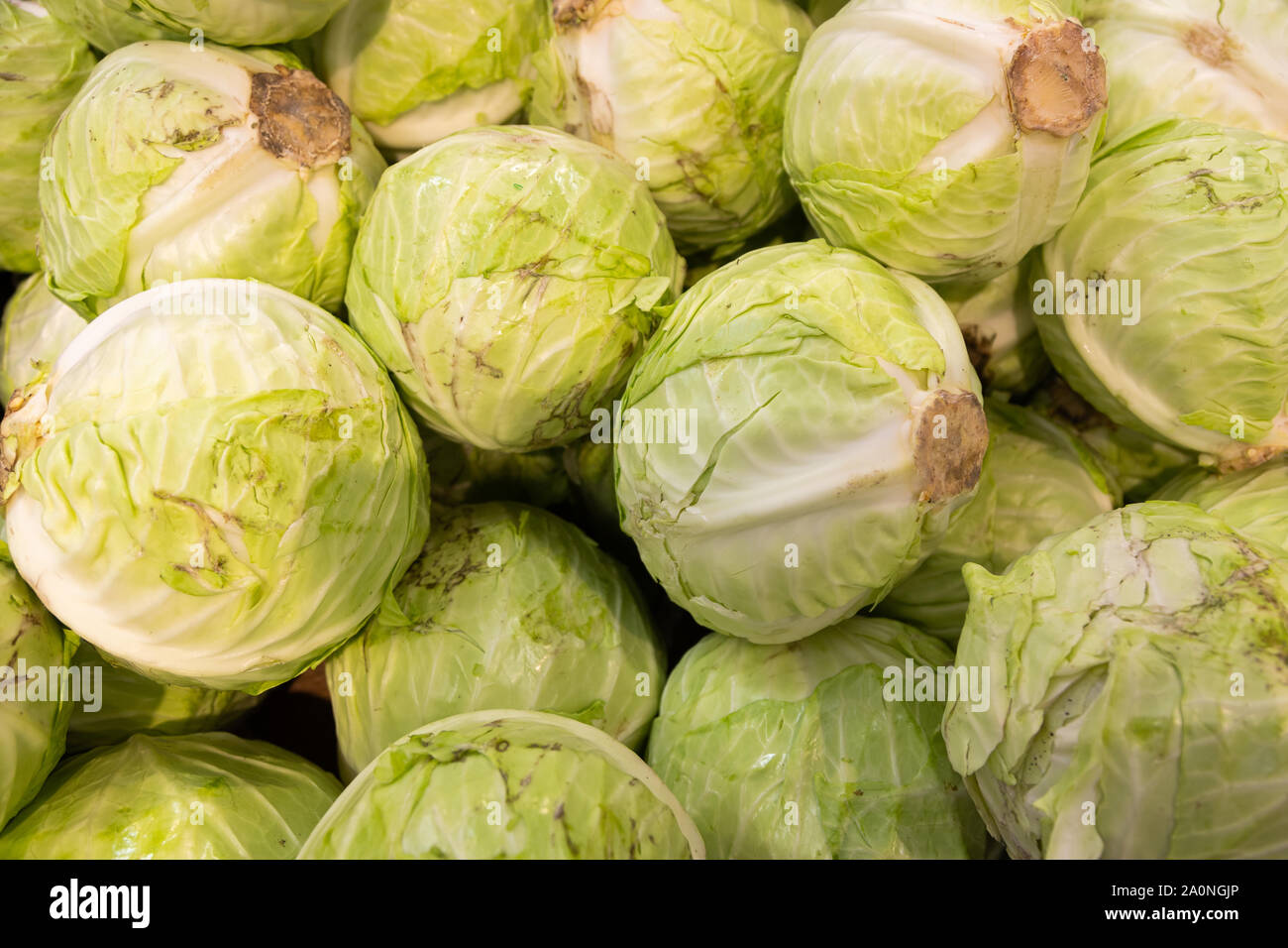 Lipe of white cabbage whole head close-up, cabbage background Stock ...