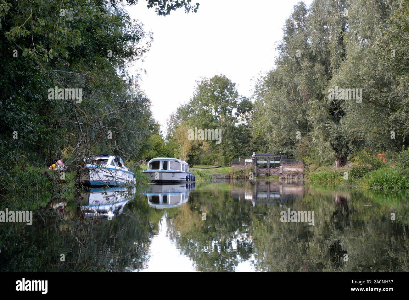 Broads cruisers moored on the River Bure at Coltishall Lock, Broads ...