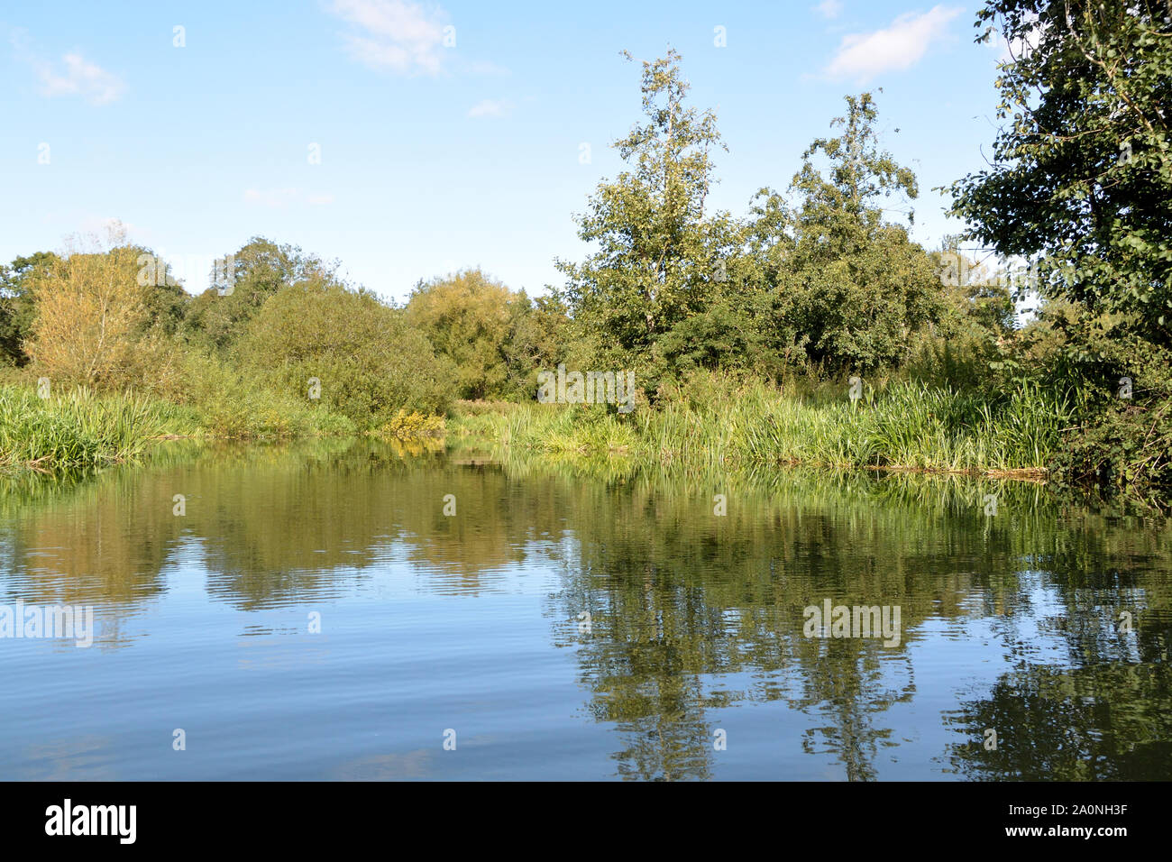 River Bure between Coltishall Green and Coltishall Lock, Norfolk ...