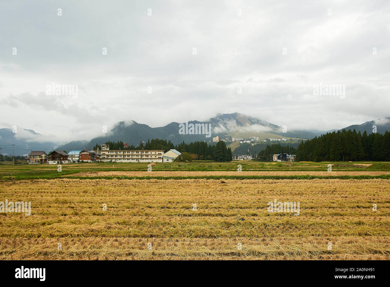 Recently harvested rice fields in rural Yuzawa, Niigata, Japan, on a ...