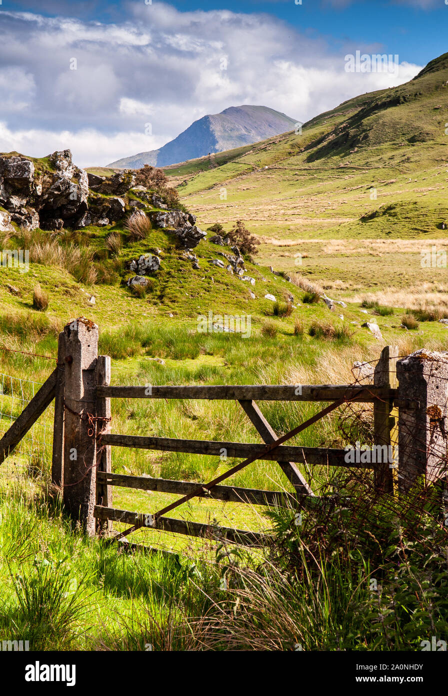 Moel Hebog mountain rises above rough paster land in the Nantlle Valley ...