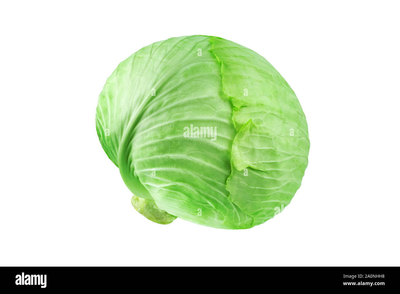 Whole head of green leafy cabbage on white background isolated close up ...