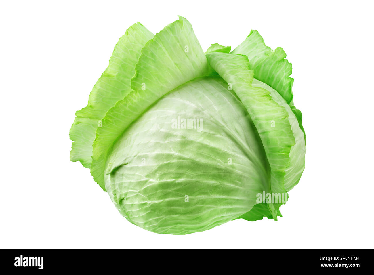 Whole head of green leafy cabbage on white background isolated close up ...