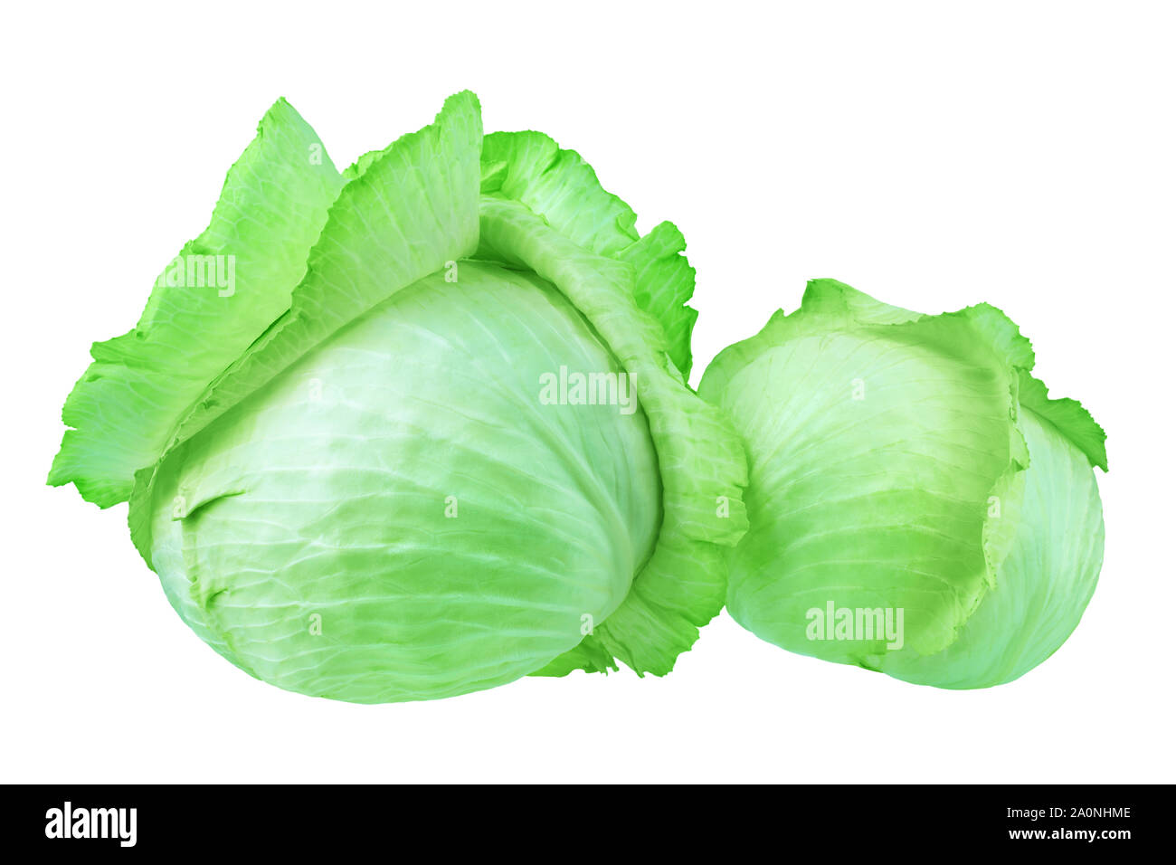 Two whole heads of green leafy cabbage on white background isolated ...
