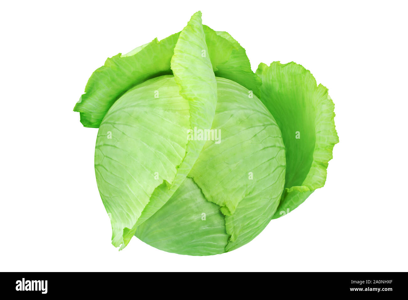Whole head of green leafy cabbage on white background isolated close up ...
