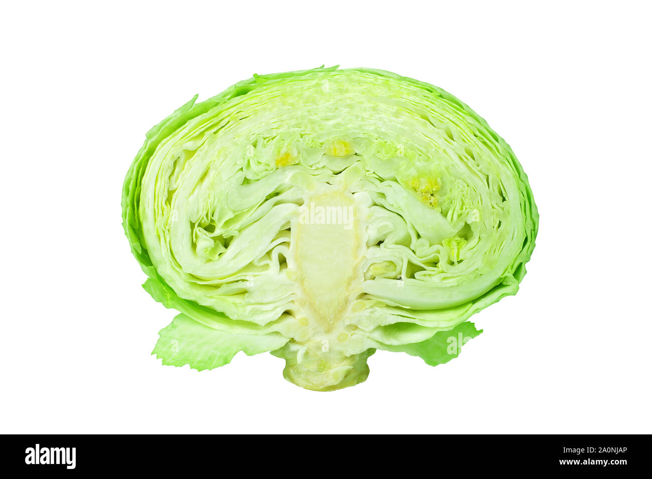 Green half head of cabbage on white background isolated close up ...