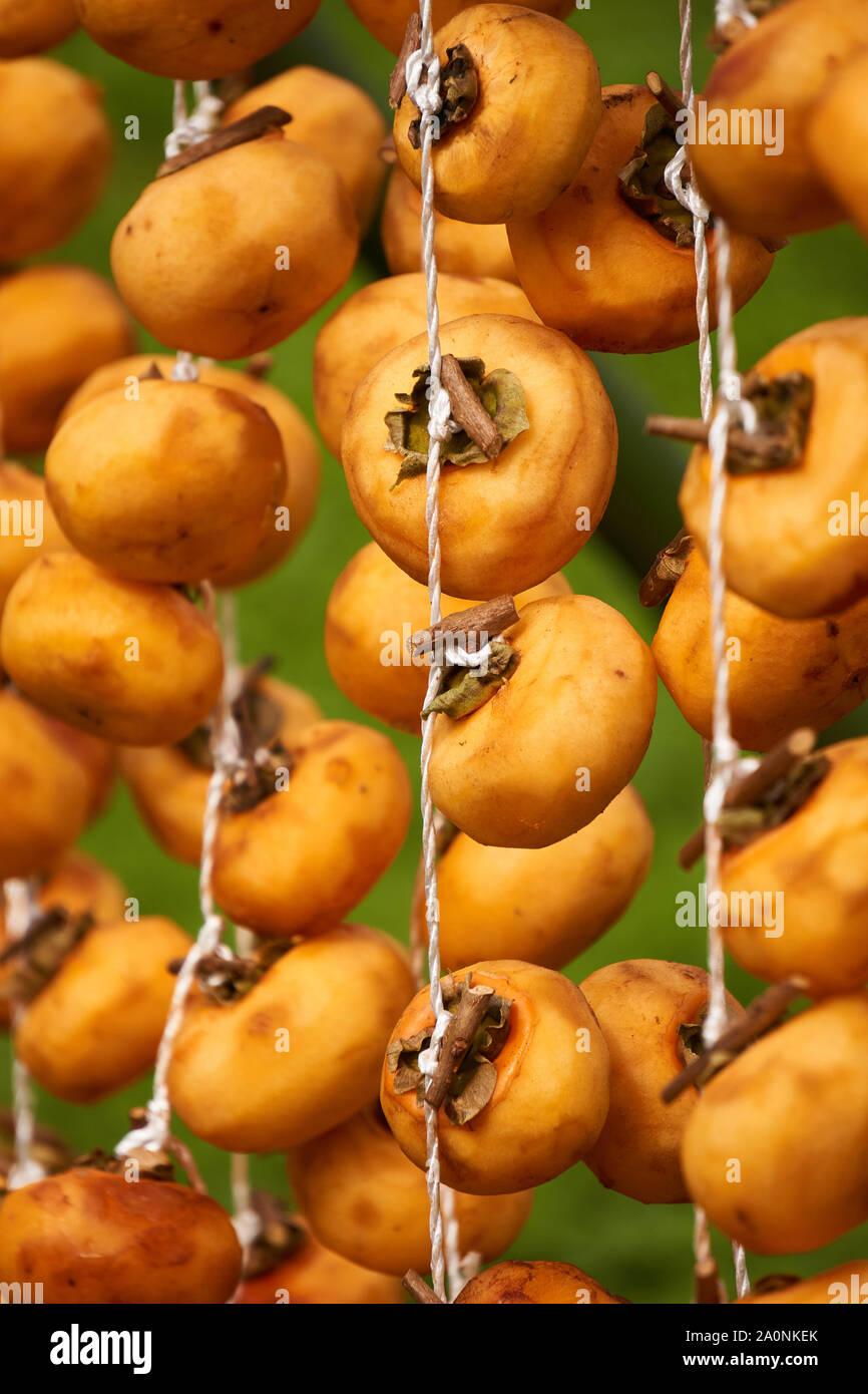 Hoshigaki (dried persimmons - Diospyros kaki) hang on ropes on an ...