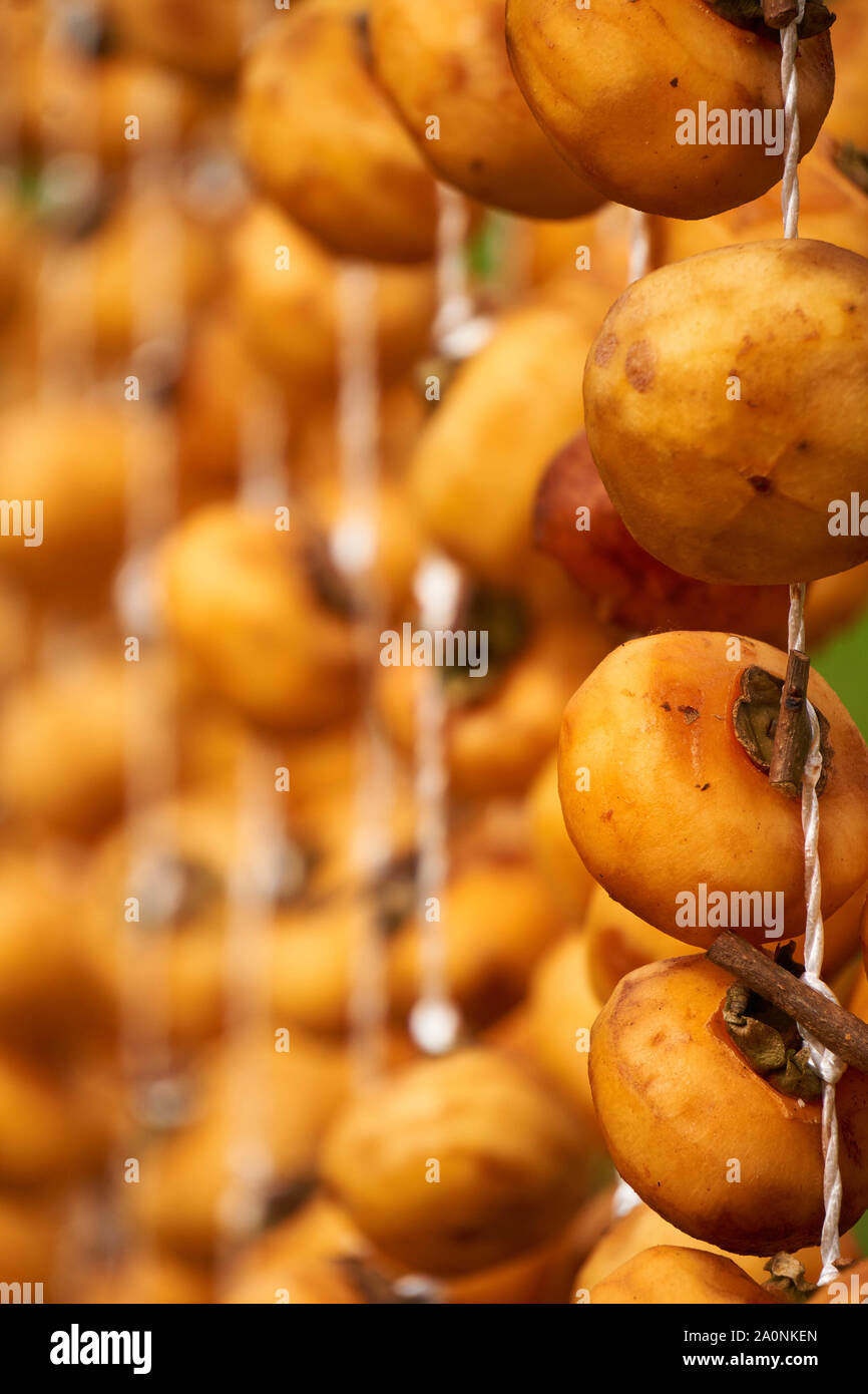 Hoshigaki (dried persimmons - Diospyros kaki) hang on ropes on an ...