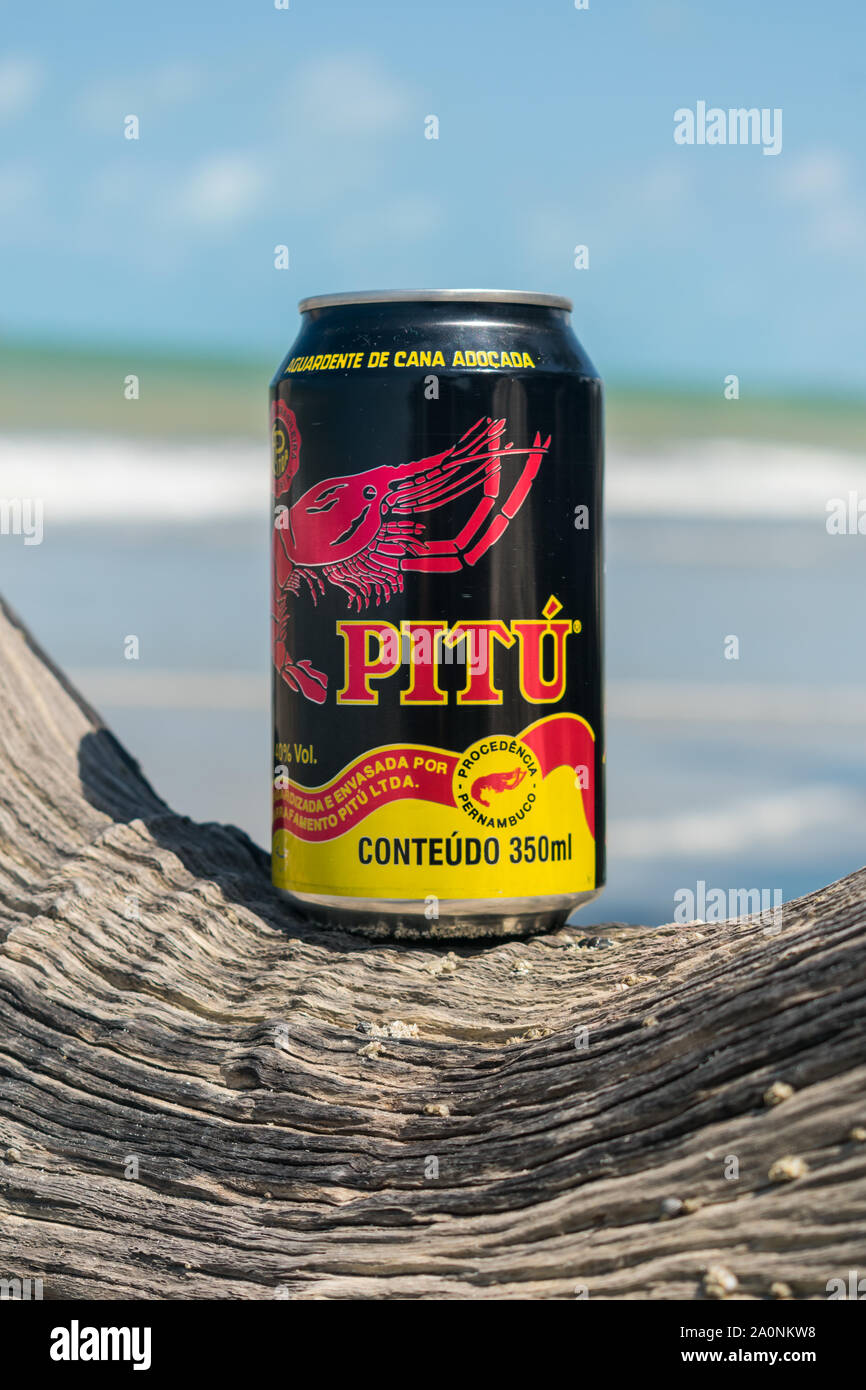 Ilha de Itamaraca, Brazil - Circa August 2019: A Pitu can at the beach ...
