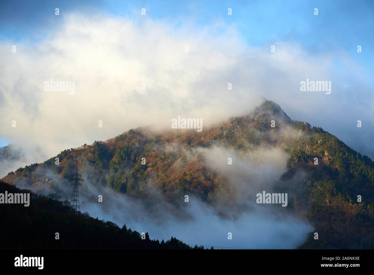 Misty forested mountains in the morning with autumn colors in rural ...