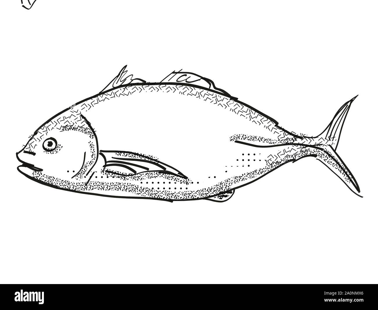 Retro cartoon style drawing of a trevally, a native New Zealand marine ...