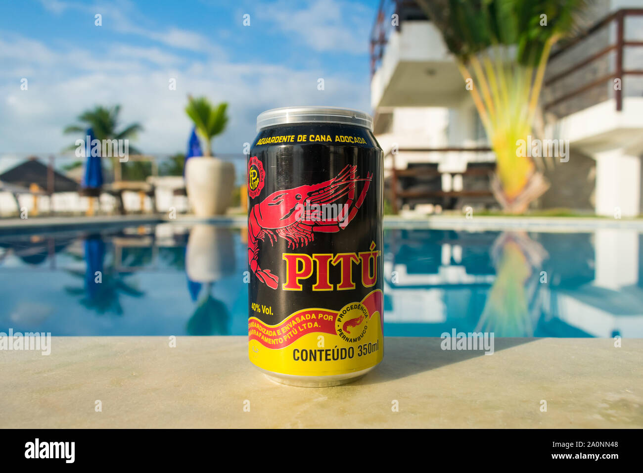 Ilha de Itamaraca, Brazil - Circa August 2019: Pitu can and swimming ...