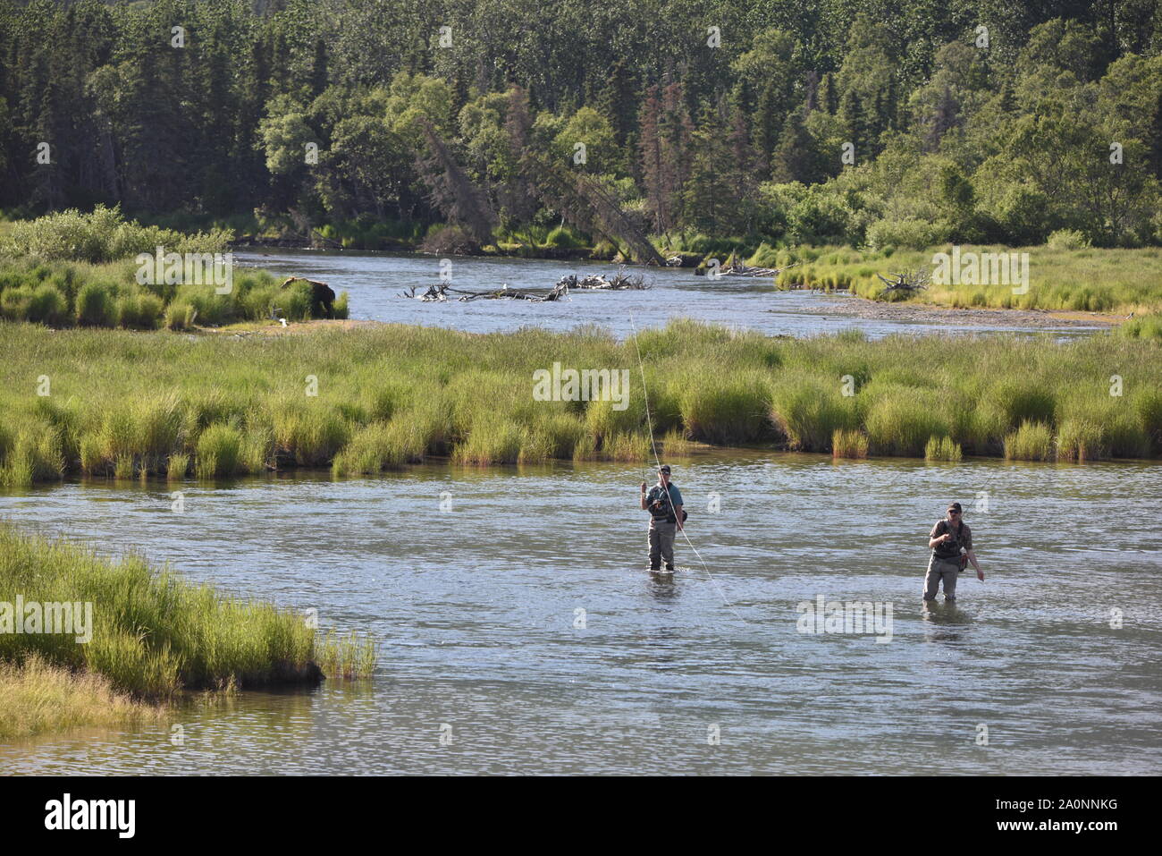 Cutthroat trout hi-res stock photography and images - Alamy