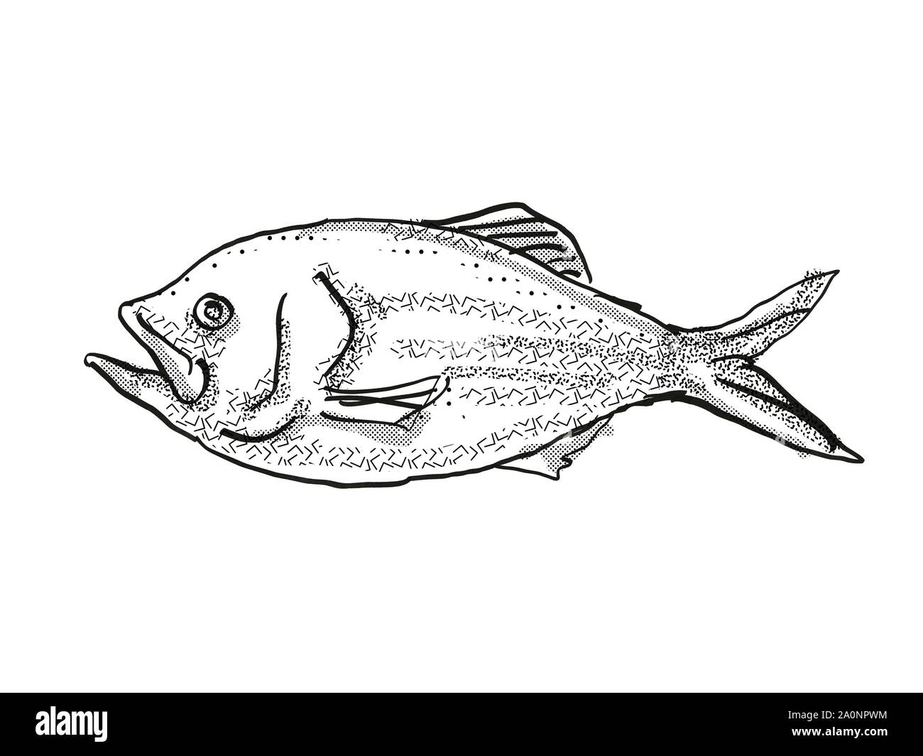 Retro cartoon style drawing of a golden snapper , a native New Zealand ...