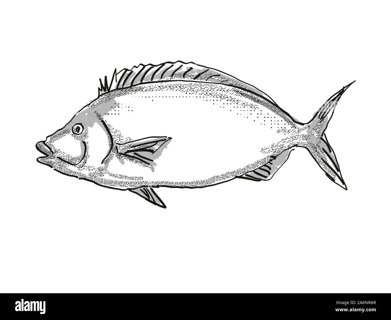 Retro cartoon style drawing of a porae, a native New Zealand marine ...