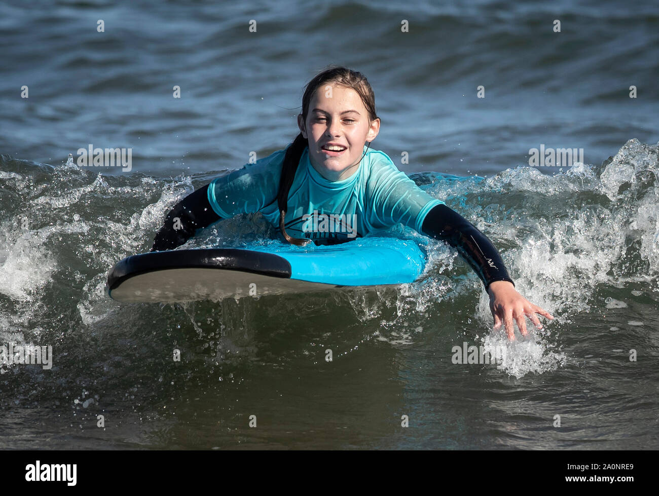 Parts of a lily hi-res stock photography and images - Alamy