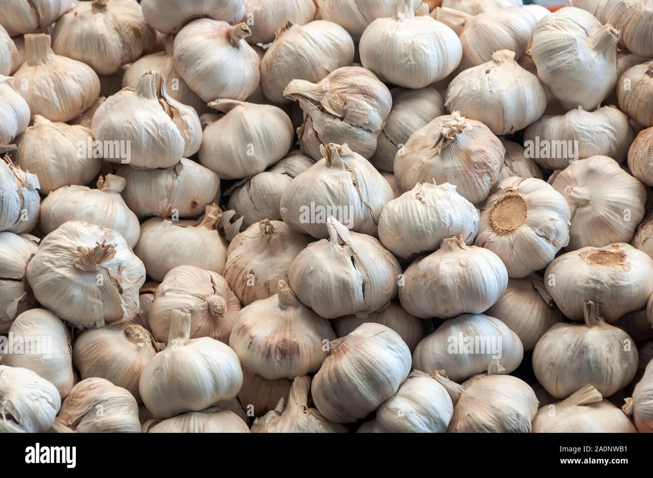 Fresh white garlic pile texture background Stock Photo - Alamy
