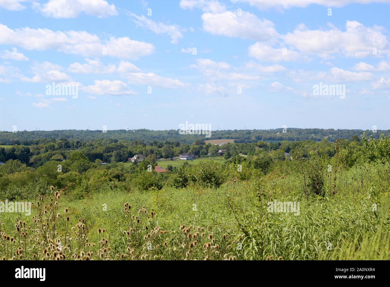 A beautiful sunny summer day in the countryside park Stock Photo - Alamy