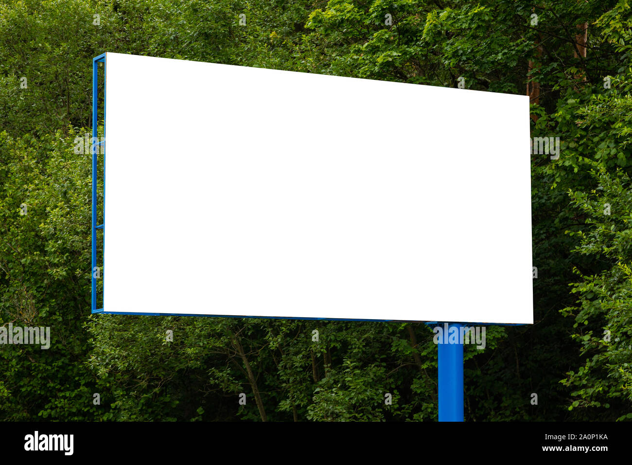 Closeup white blank board against green forest along road Stock Photo ...