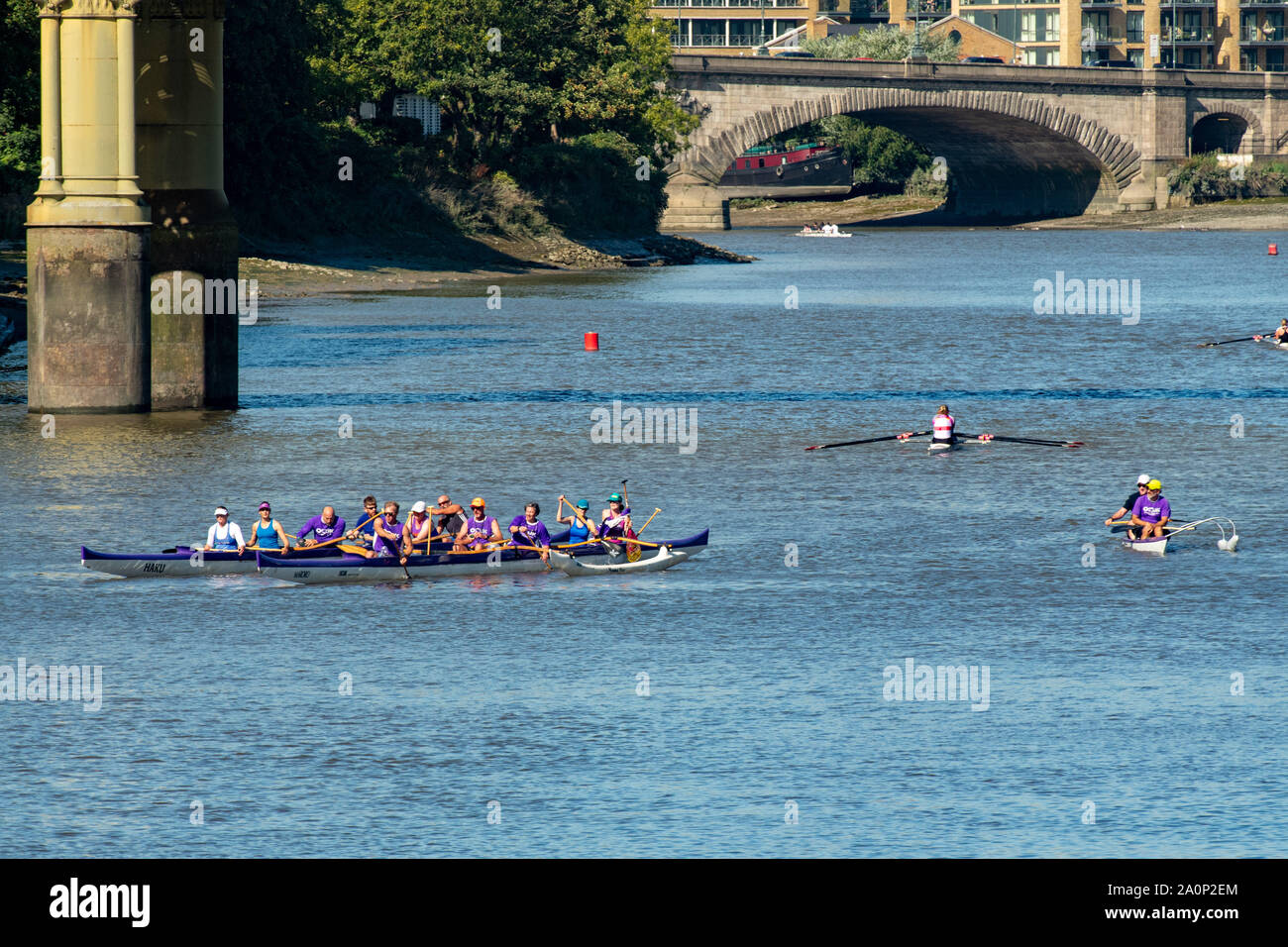 Chiswick, London, UK. 21st Sep, 2019. Outrigger paddling on the Thames ...