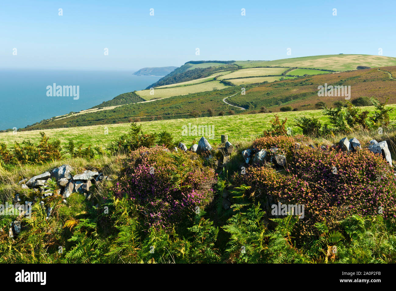 South West Coast Path near Countisbury, Exmoor, Devon Stock Photo - Alamy