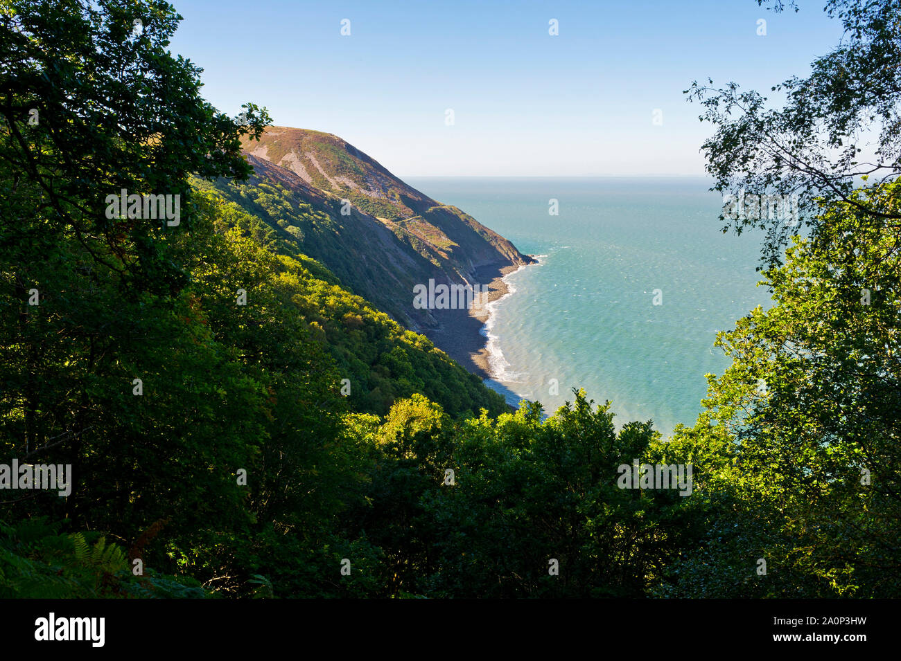 South West Coast Path near Countisbury, Exmoor, Devon Stock Photo - Alamy