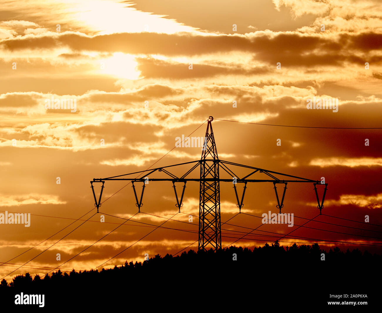 Powerline in goleden sunset Stock Photo - Alamy