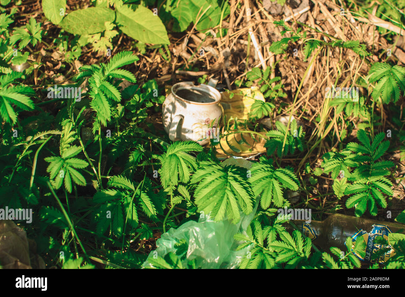 plastic waste, glass, ceramics and rubbish in the forest. Environmental ...