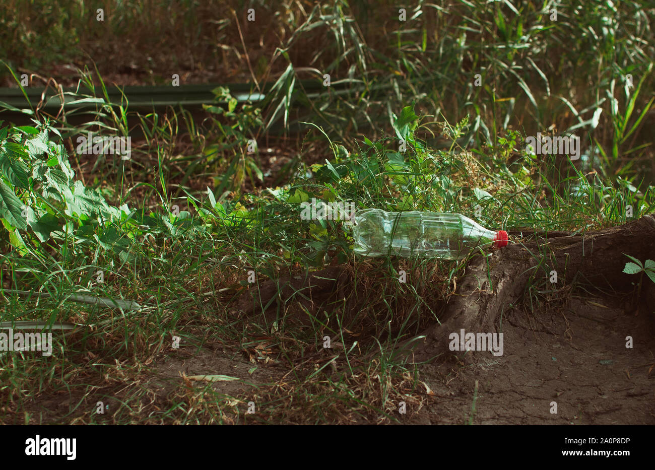 Plastic pollution forest hi-res stock photography and images - Alamy
