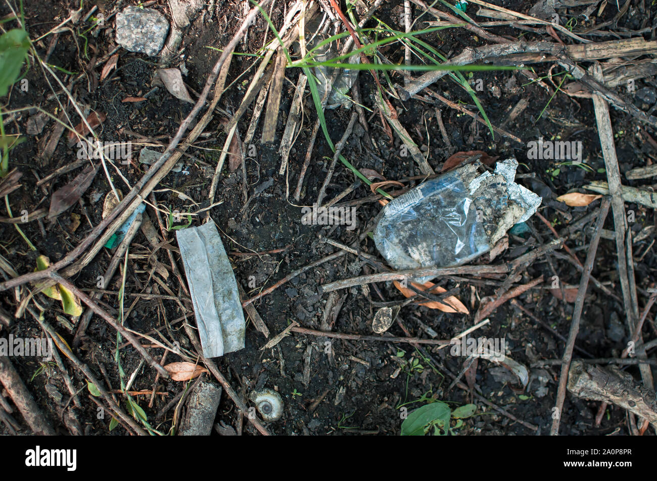 plastic waste, glass, ceramics and rubbish in the forest. Environmental ...