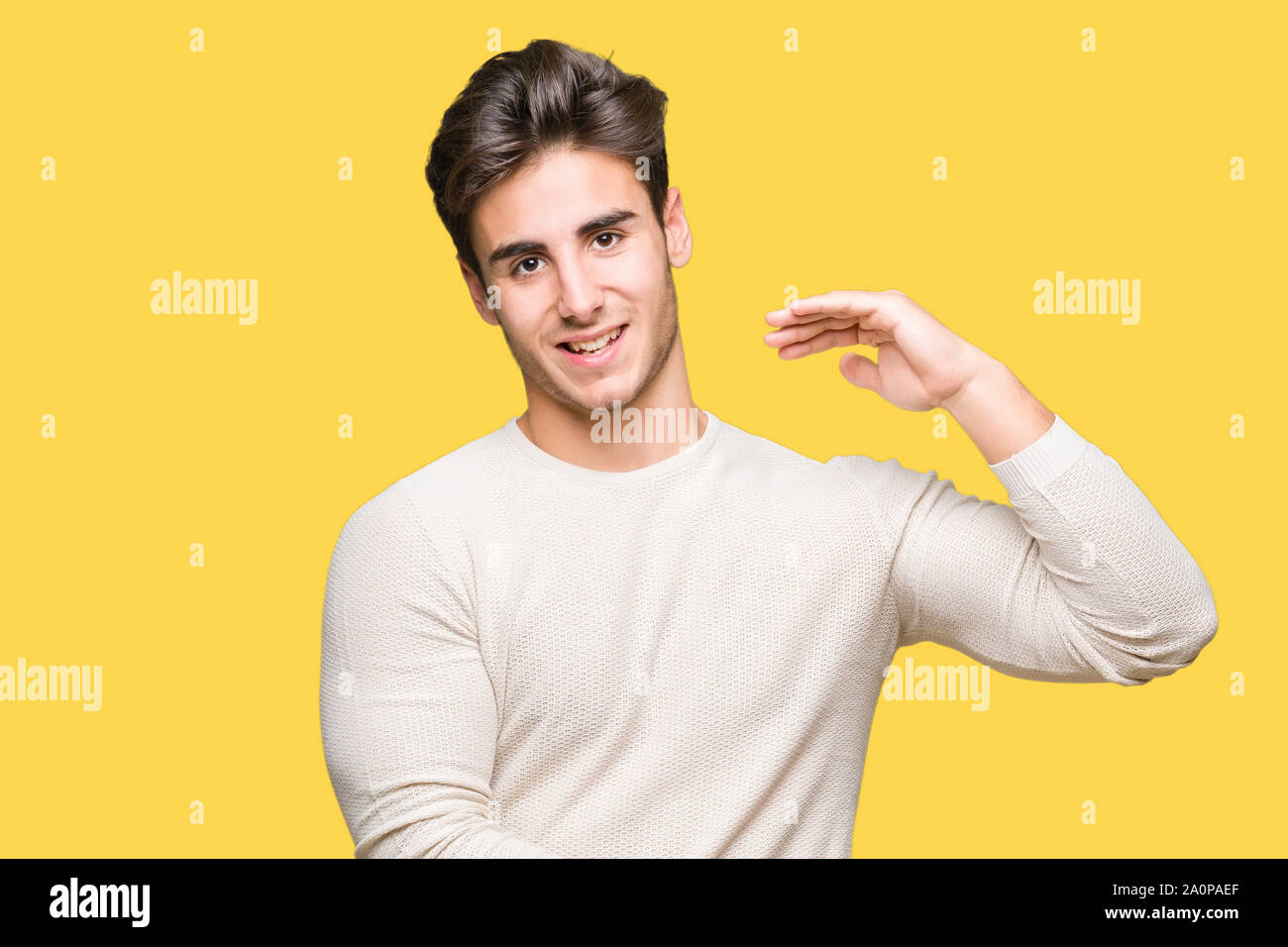 Young handsome man over isolated background gesturing with hands ...