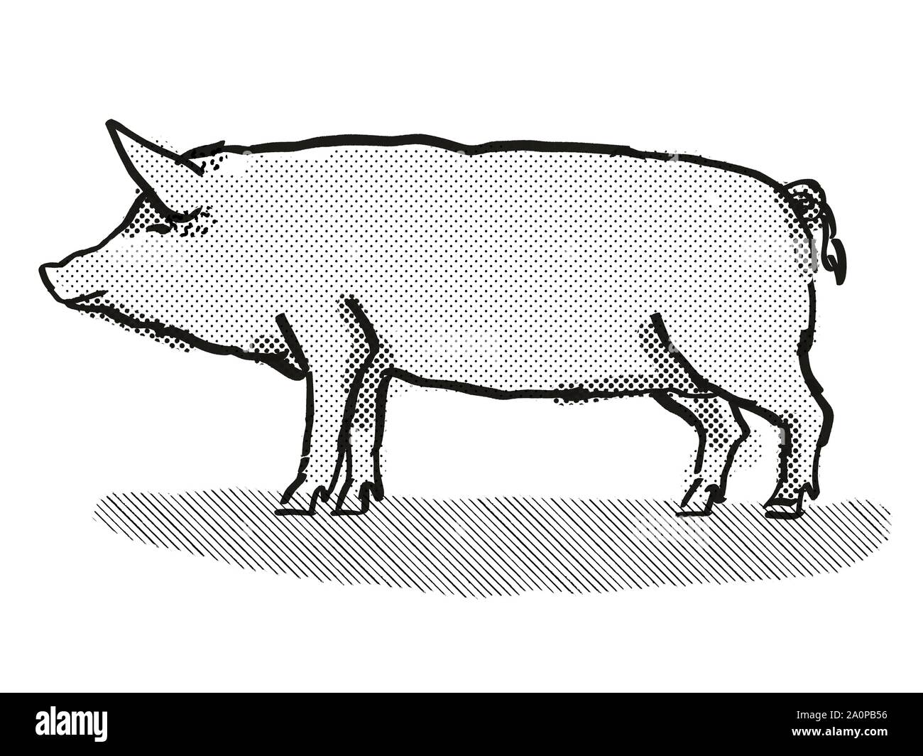 Farm Pig Cartoon Sow High Resolution Stock Photography and Images - Alamy