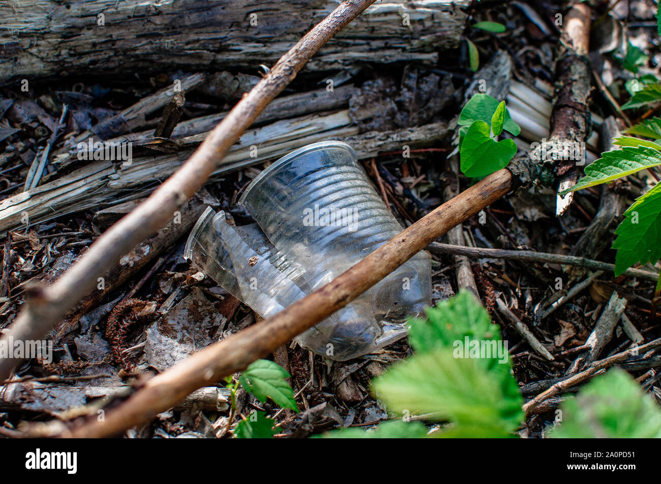 Plastic cup and trash in the forest. Environmental pollution ...