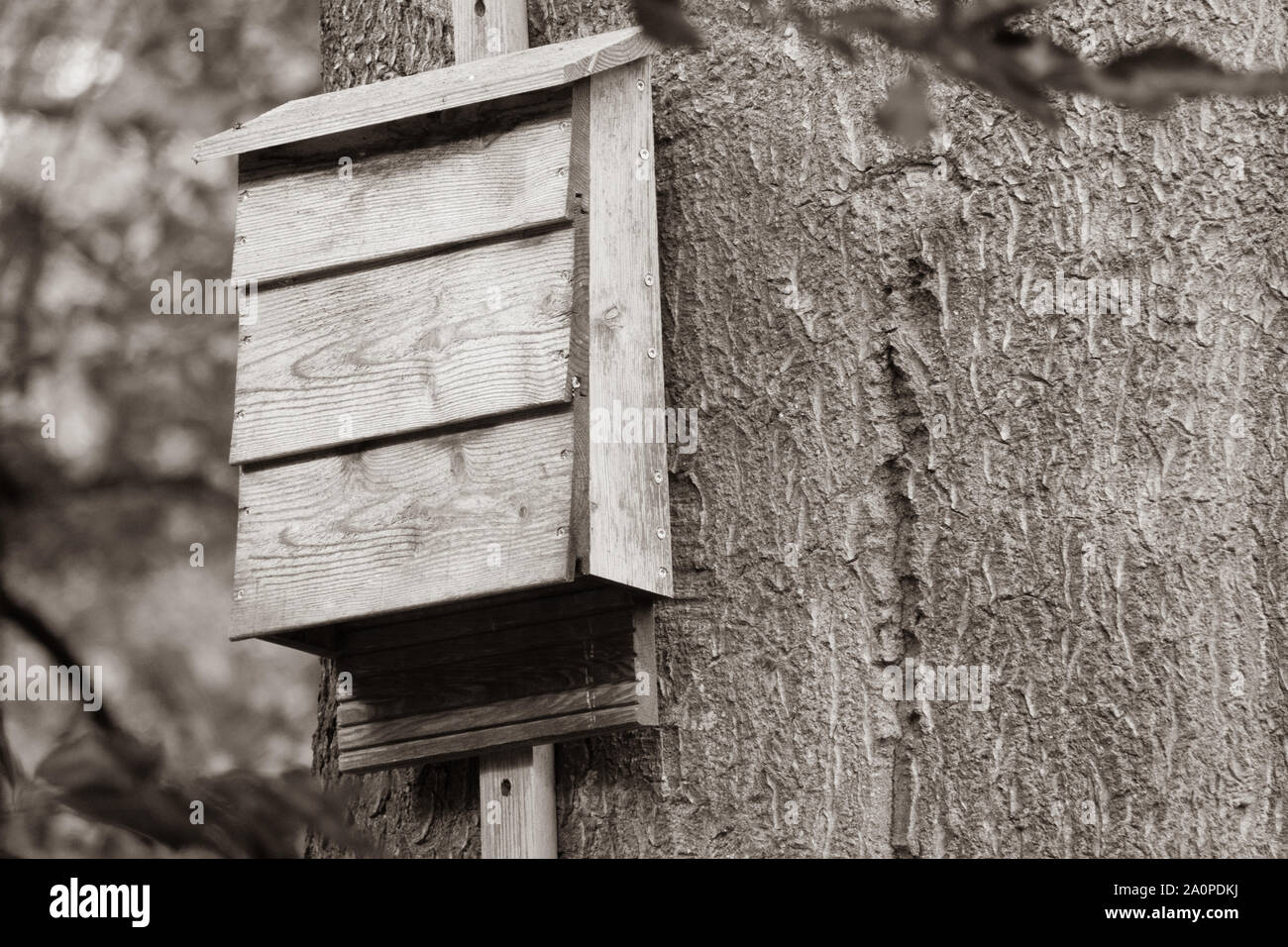 a bat box hangs from a tree in the forest and provides shelter for bats ...