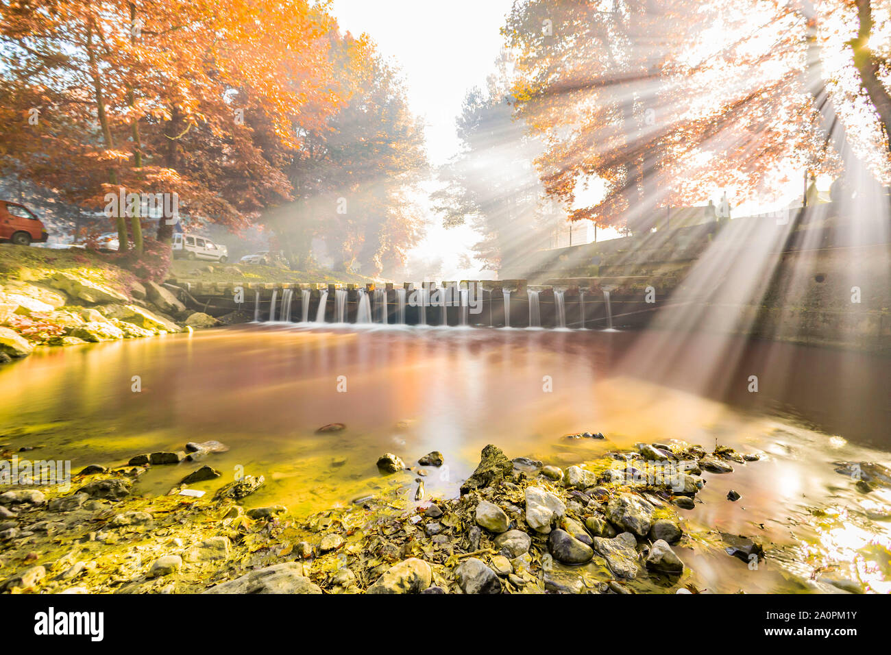 Sun filtered garden hi-res stock photography and images - Alamy