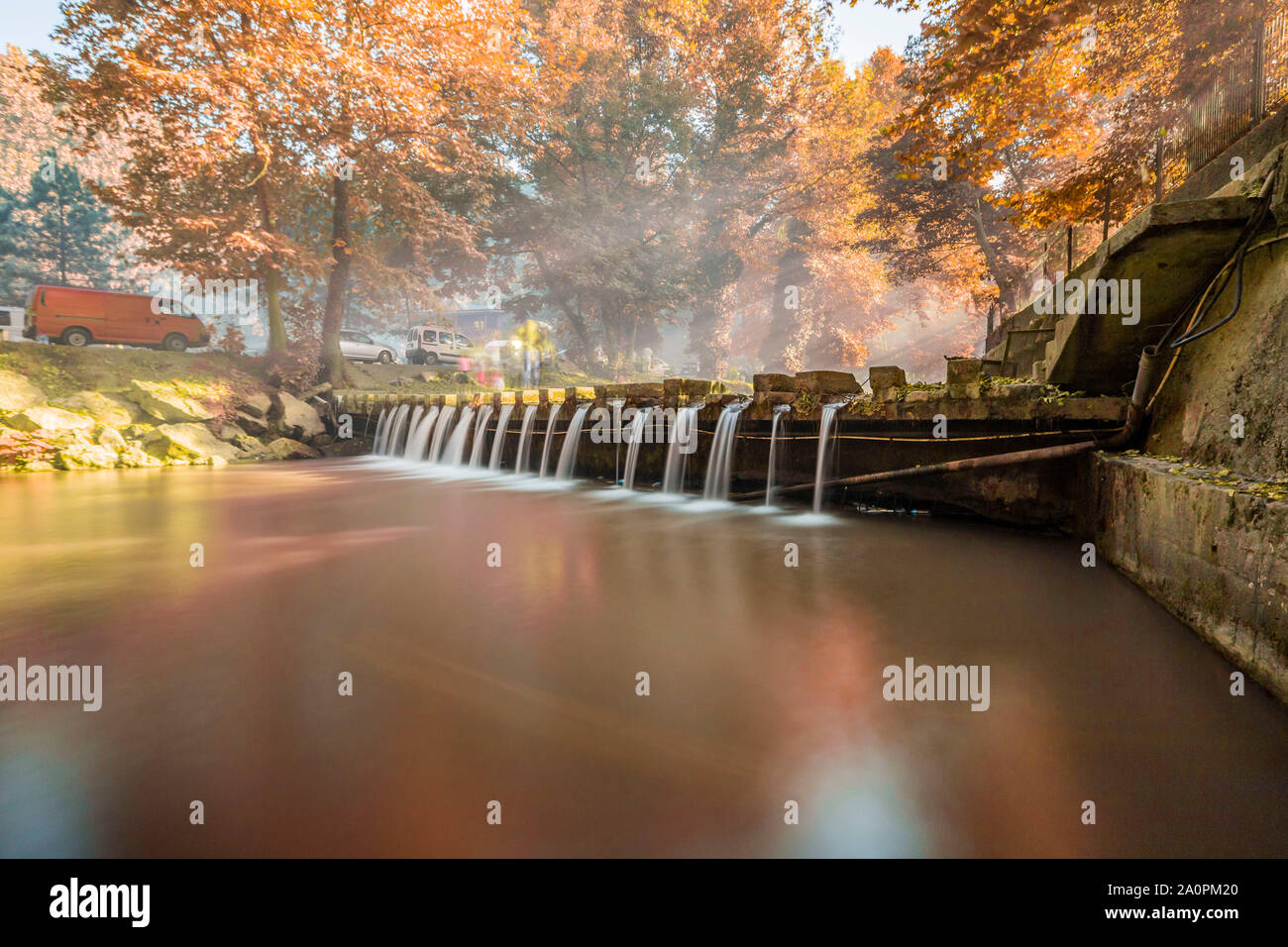 Filtered sun rays seen through tree leaves Stock Photo - Alamy