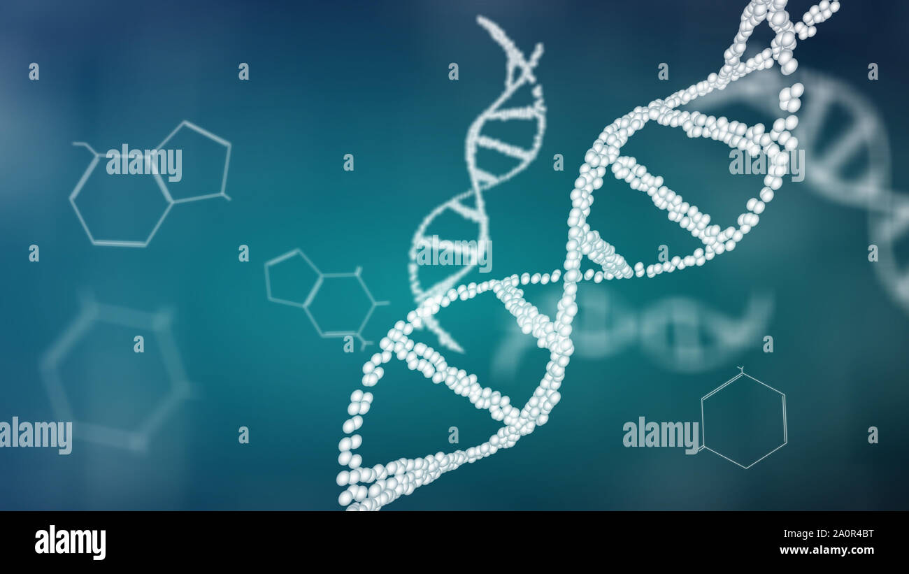 structure of the DNA double helix animation, DNA molecular and ...