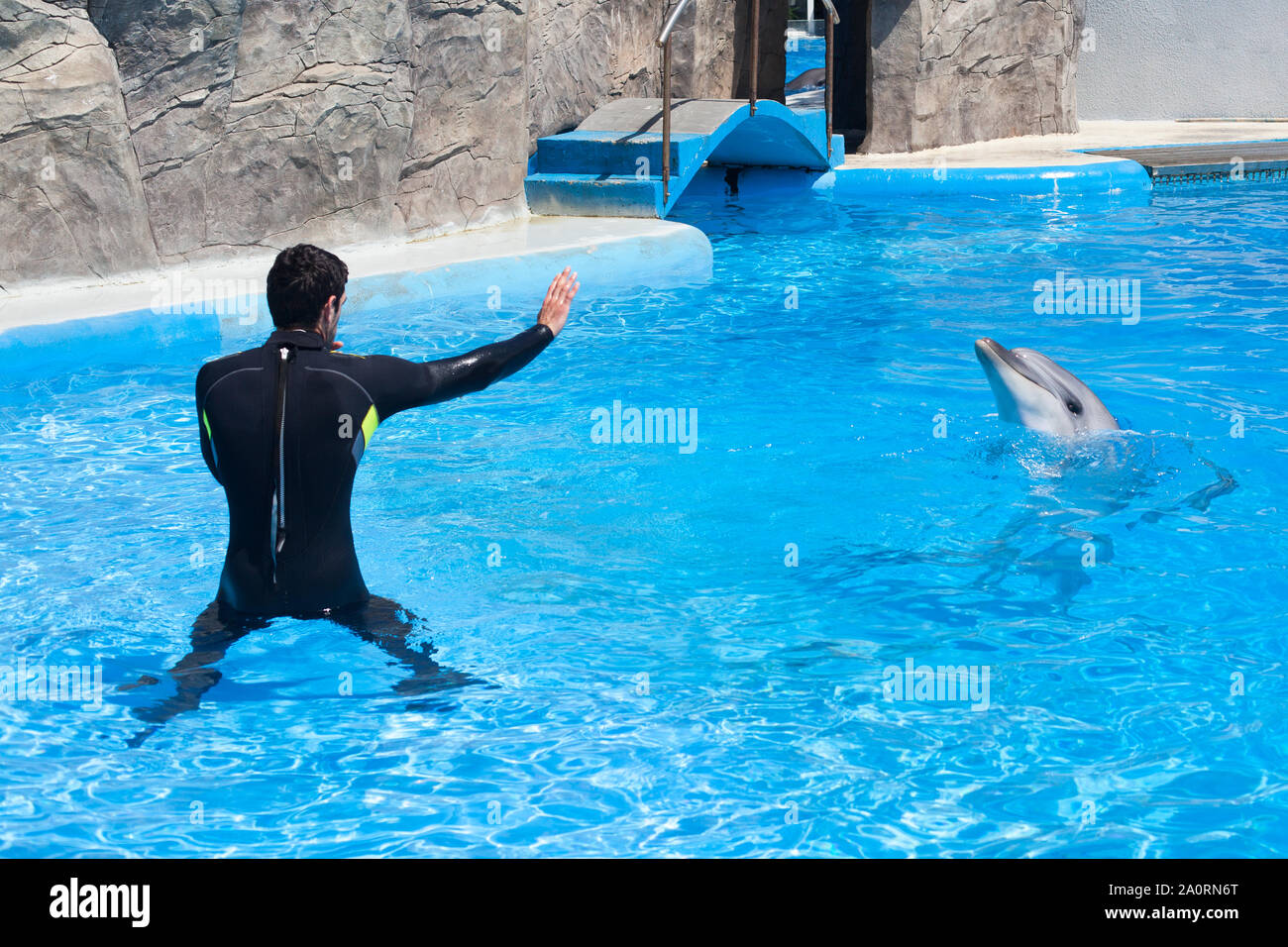 Coach swimming training hi-res stock photography and images - Alamy