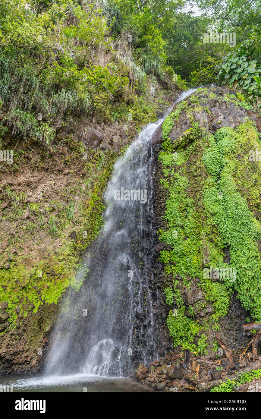 Saint Vincent and the Grenadines, Dark View Falls, waterfall Stock ...