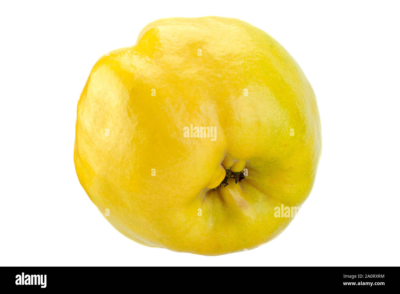 Quince ripe fruit isolated on white background Stock Photo - Alamy