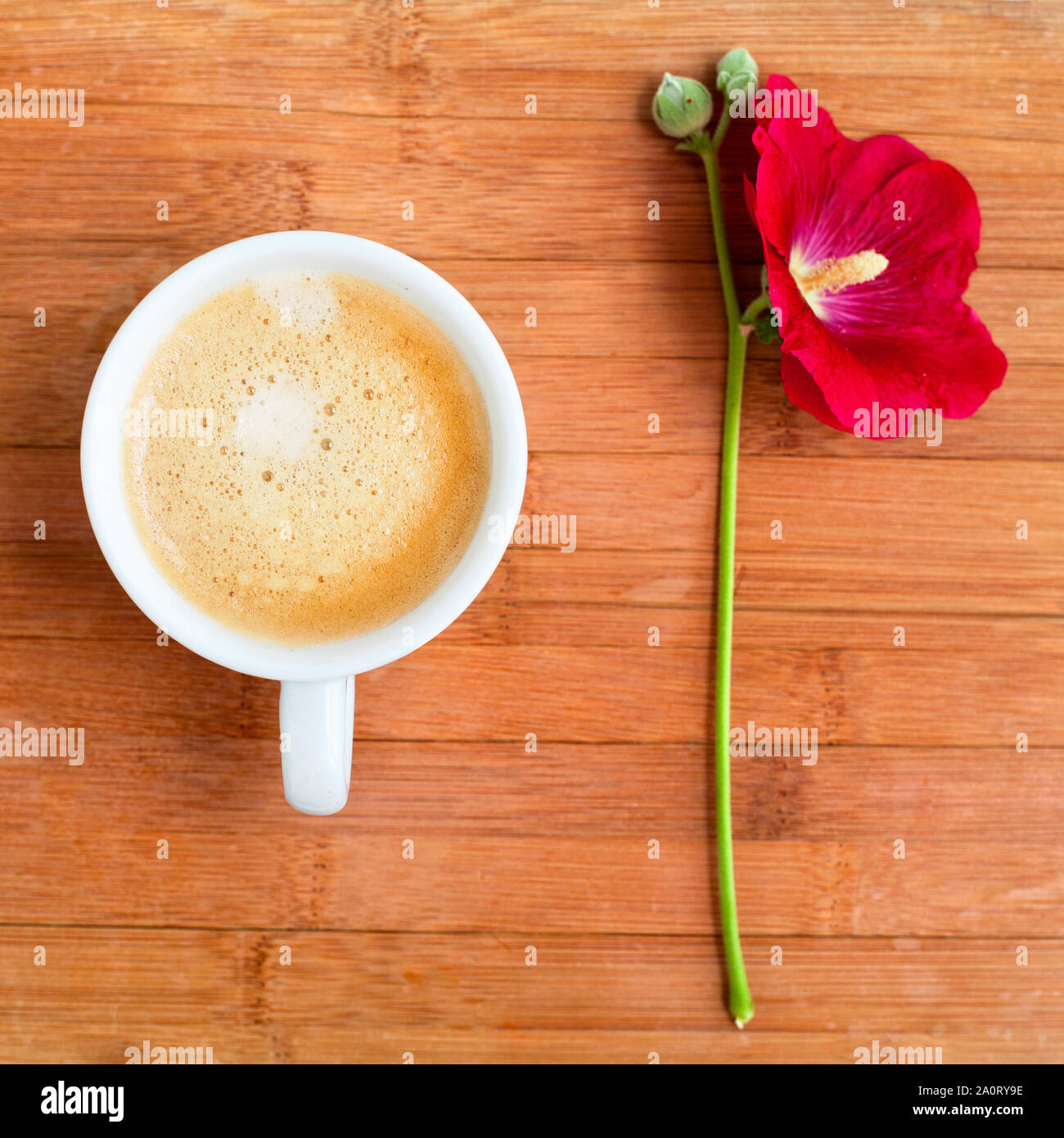 Red leaves and foam hi-res stock photography and images - Alamy